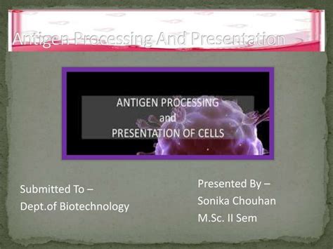 Antigen Processing And Presentation Ppt