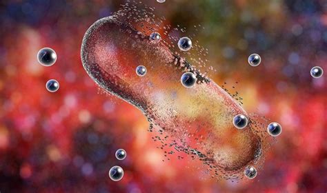 Bacteria Spews Cyanide To Fend Off Predators Asian Scientist Magazine