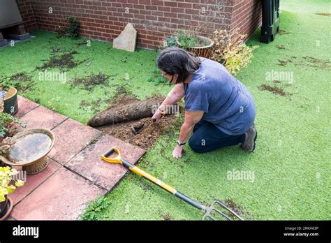 Woman Checking Condition Of Soil Beneath Artificial Grass Or Astroturf