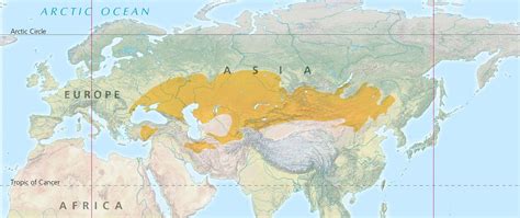 Steppes In Eurasia Rmapporn