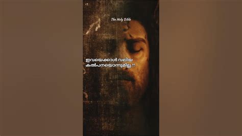 Markose 12 31 Youtubeshorts Youtube