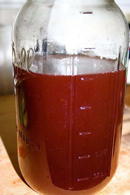 Moment To Moment Making Echinacea Syrup