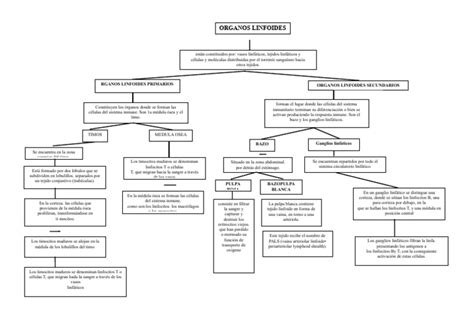 Mapa Conceptual Pdf Sistema Linfático Linfocitos