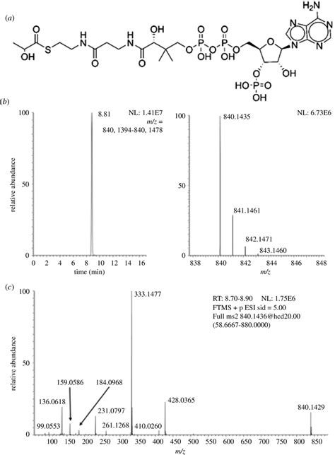 A Structure Of Lactoyl Coa Stereochemistry Not Shown B Lc Hrms
