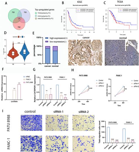 Bulk Anda Single Cell Transcriptome Profiling Reveals The Molecular Characteristics Of T Cell
