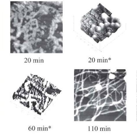 Shape And Size Of α β And γ Cyclodextrins Download Scientific Diagram