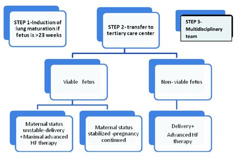 Algorithm For Management Of Adhf During Pregnancy Hf Heart Failure
