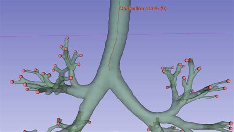 vmtk generated centerline curves missing structure hierarchy support