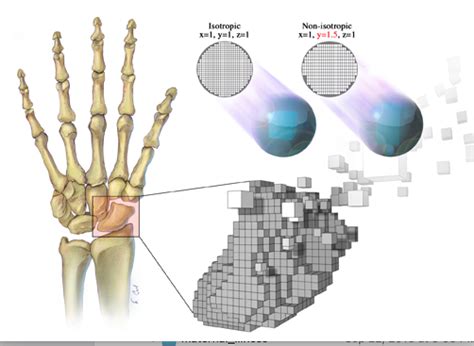 Isotropic Data Ctisus Isotropic Dataset This Illustration Shows The