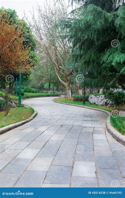 Paver Path Through Trees And Grass Royalty Free Stock Image