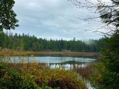5 Beautiful Hikes On Bainbridge Island Top Left Adventures
