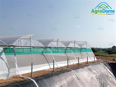 Naturally Ventilated Agriculture Polyhouse At ₹ 924square Meter