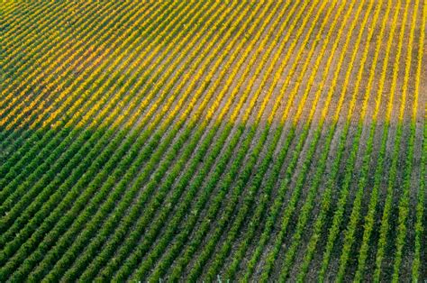 Home Groundwater Modelling Decision Support Initiative