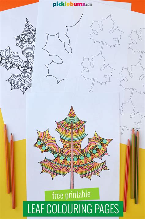 Free Printable Autumn Leaf Colouring Pages Picklebums