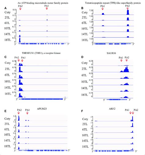 Sequencing Coverage Of Genes Visualized Using Integrative Genomics Download Scientific