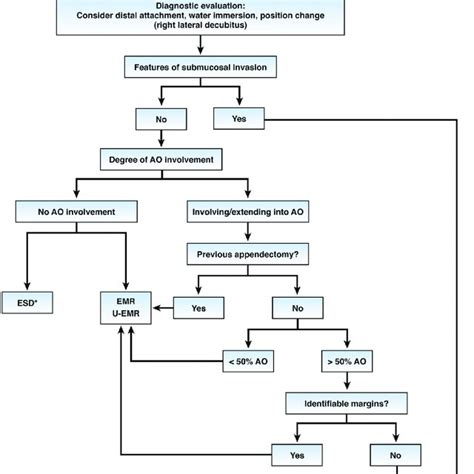Pdf Management Of Periappendiceal Orifice Polyps
