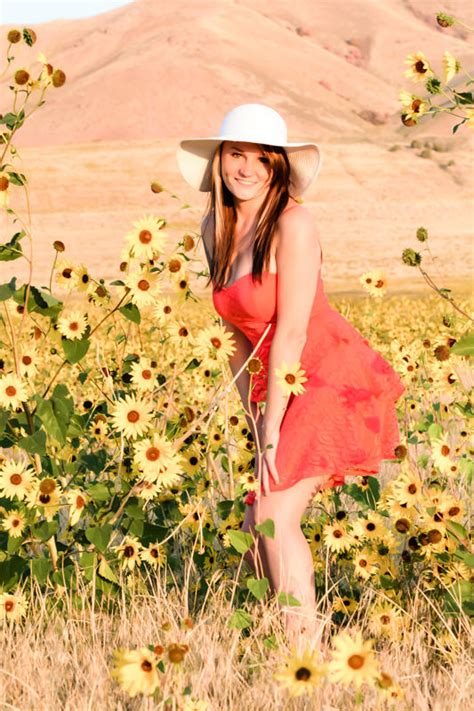 Sunflowers 9 By Wildfotoguy On Deviantart