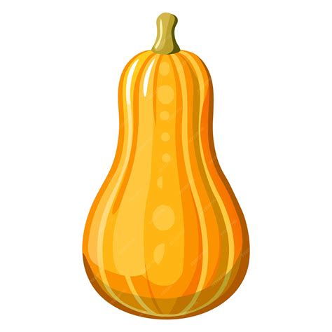 Butternut Squash Clipart Vector Illustration Premium Ai Generated Vector