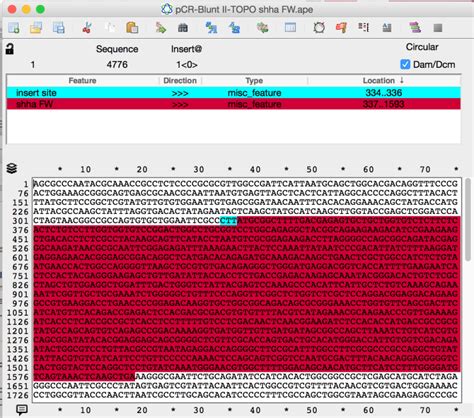 How I Use Ape A Plasmid Editor Insitutech