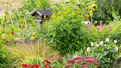 Intruder Proof Hedge Plants 10 Ways To Boost Home Security Homes And