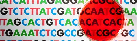 What Is Genomics