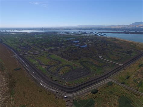 Sherman Island 600 Acre Wetland Restoration To Improve Water Quality