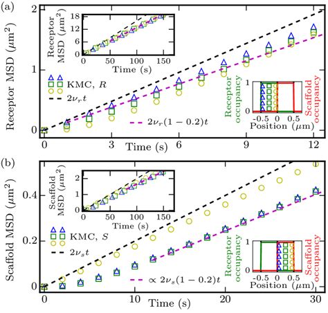 Msd Curves Of A Diffusing Receptors And B Diffusing Scaffolds Download Scientific Diagram