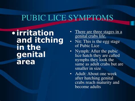 Ppt Sexually Transmitted Infections Powerpoint Presentation Free