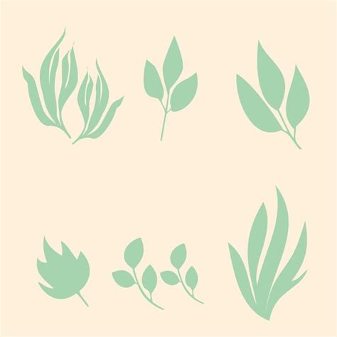 Premium Vector Abstrack Leaf
