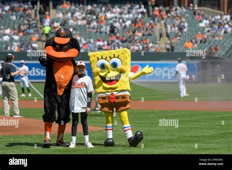 The Baltimore Orioles Mascot Left And Nickelodeon Character Spongebob