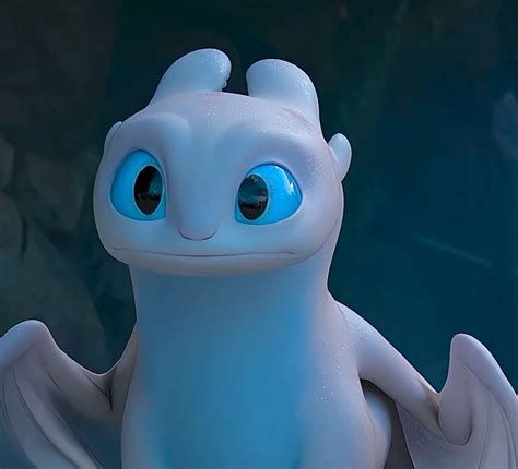 Light Fury Pictures