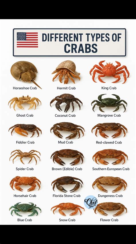 Types Of Crabs