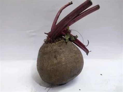 Organic Red Beetroot At ₹ 25kg In Madurai Id 2854522912633