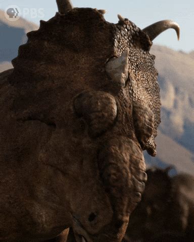 Walking With Dinosaurs Dinosaur  By Pbs Find And Share On Giphy