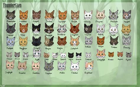 Thunderclan Visual Allegiances By Streamwhisker On Deviantart
