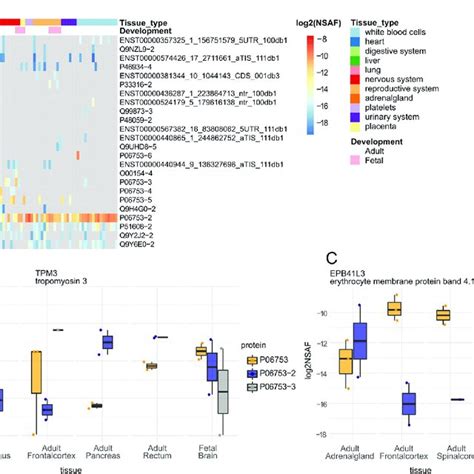 Overview Of The Overlap Between The Candidate Interaction Partners Download Scientific Diagram