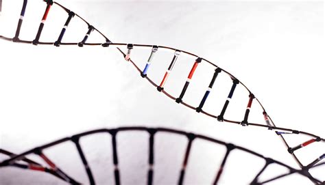 How Dna Evidence Could Help Solve More Cold Cases Futurity