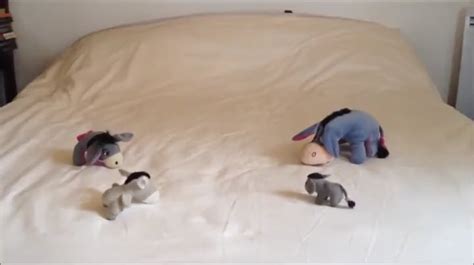 Tiny Weasel Selects His New Bff Rtinyunits