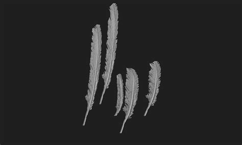 3d Model Feathers Turbosquid 2212011