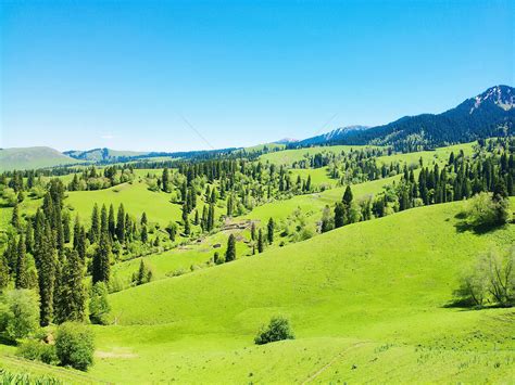 Xinjiang Nalati Grassland Picture And Hd Photos Free Download On Lovepik