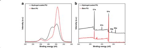 Xps C 1s Core Level Spectra A And Xps Wide Scan Spectra B Of Bare