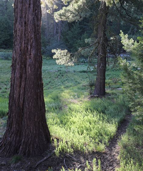 A154 Cesare54 Flickr