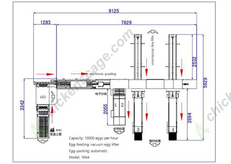 Egg Grading Machine Manual And Automatic Egg Grader Supplier
