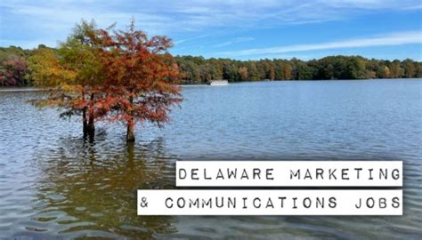 Jobs Careers Delaware Dan Shortridge