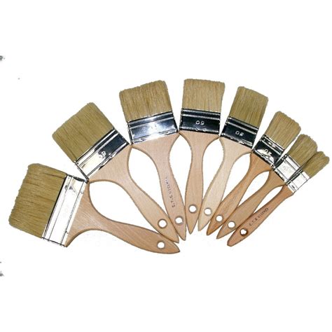 Flat Brush Series Cts 522 N 40 Pure Bristle 9 Mm Thickness