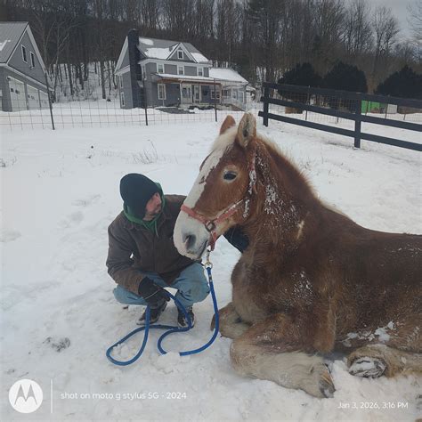 Windy River Farms South New Berlin Ny