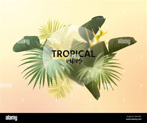 Tropical Background With Jungle Plants Palm Leaves And Glassmorphism