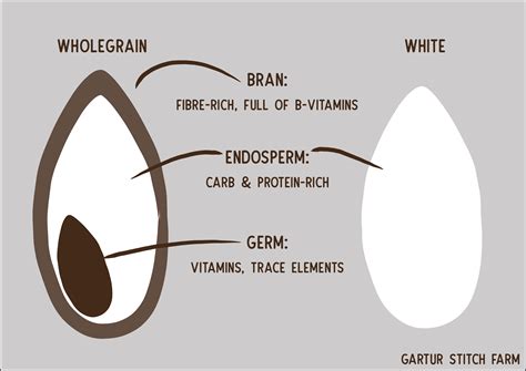 Whole Wheat Flour Vs White Flour Whole Wheat Flour And Its Benefits