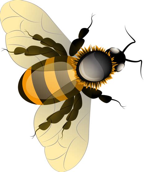 Abeilles