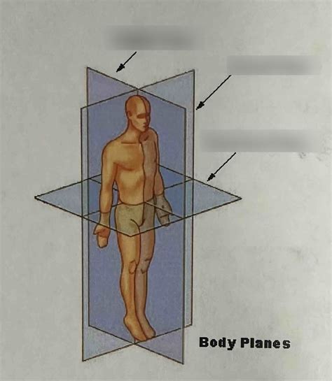 Planes Diagram Diagram Quizlet